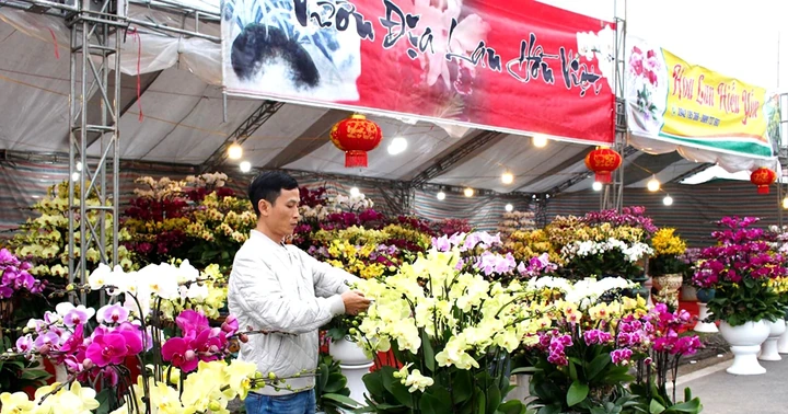 Tet flowers on streets
